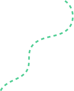 Programs - EcoMarines Foundation